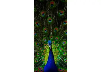 Autocolant usa, Comandă online autocolante pentru usi interioare de la ...