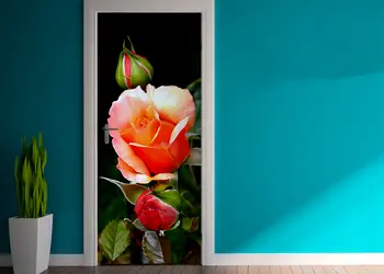 Autocolant usa, Comandă online autocolante pentru usi interioare de la ...